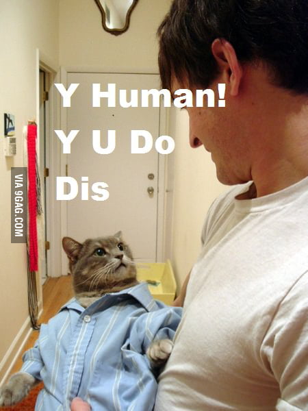 Y U DO DIS? - 9GAG