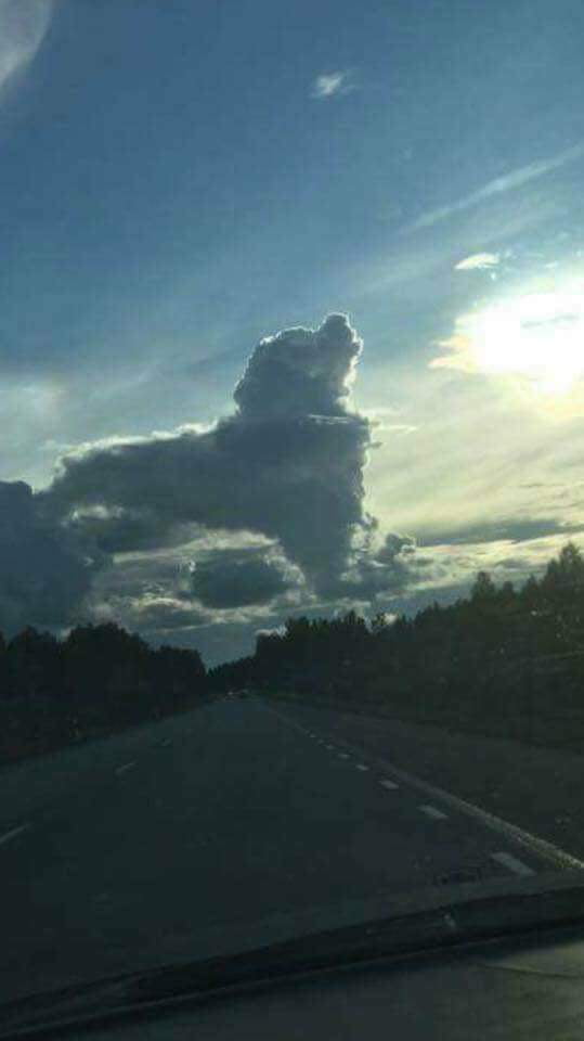 I saw this cloud today that looks just like a howling dog - 9GAG