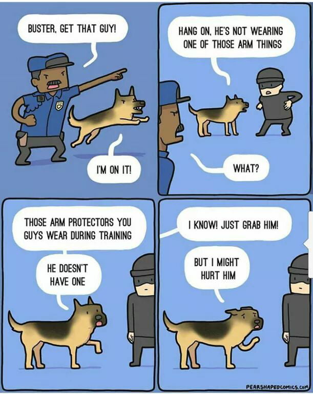 Good police doge. - 9GAG