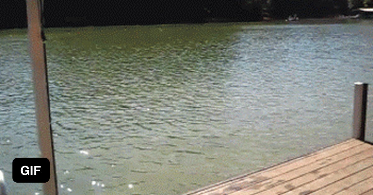 When you see it, you will shit bricks... - 9GAG