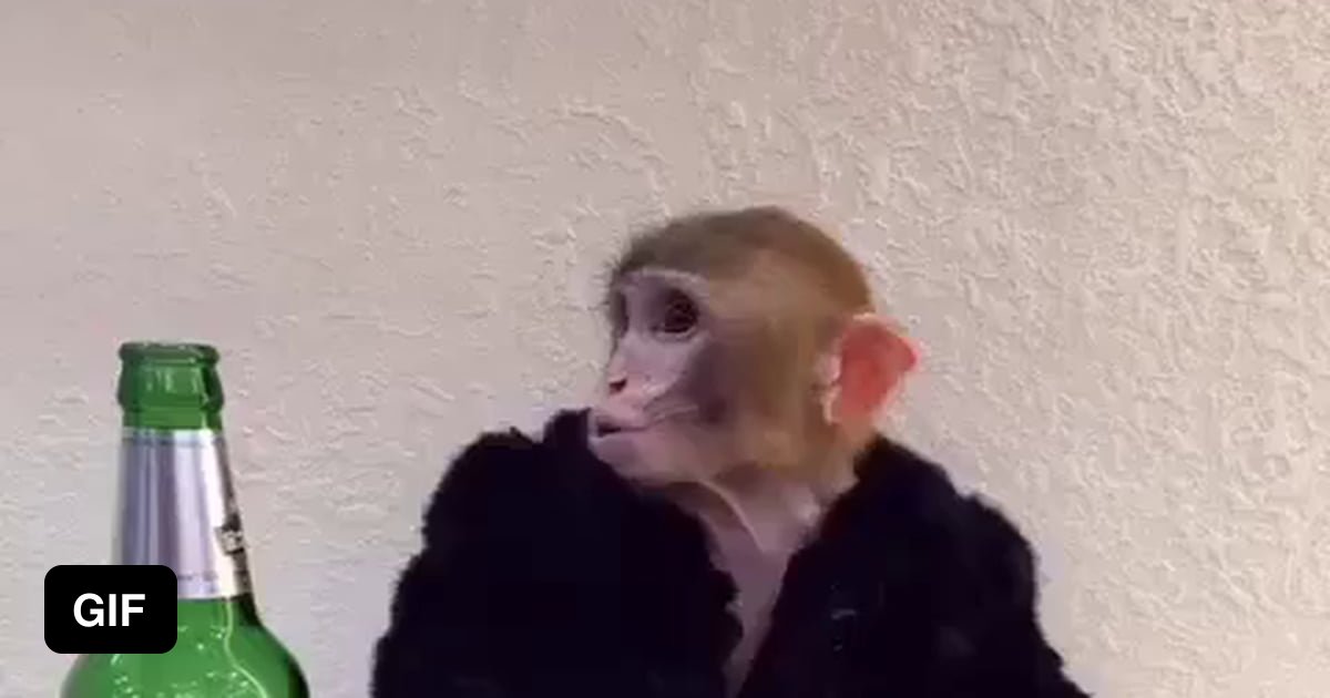 Rare documentation of ALZ-113 progress - 9GAG