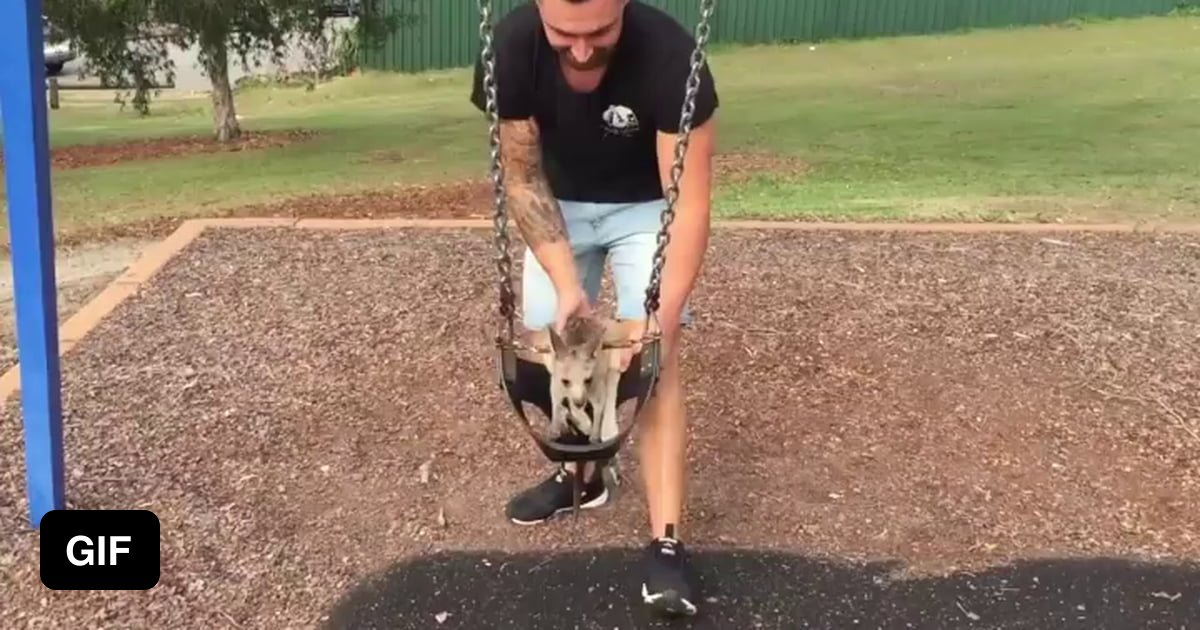 A guy and his pet kangaroo - 9GAG