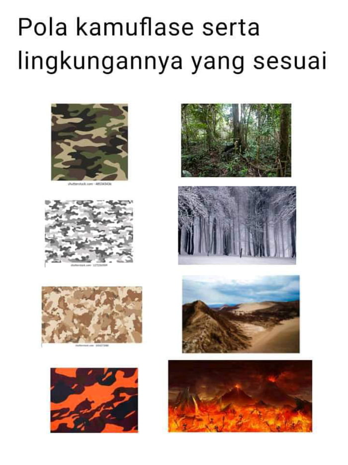 Penjaga tungku api rendang - 9GAG