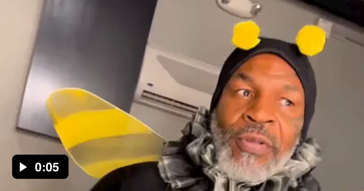 Mike Tyson as a bee 🐝 - 9GAG