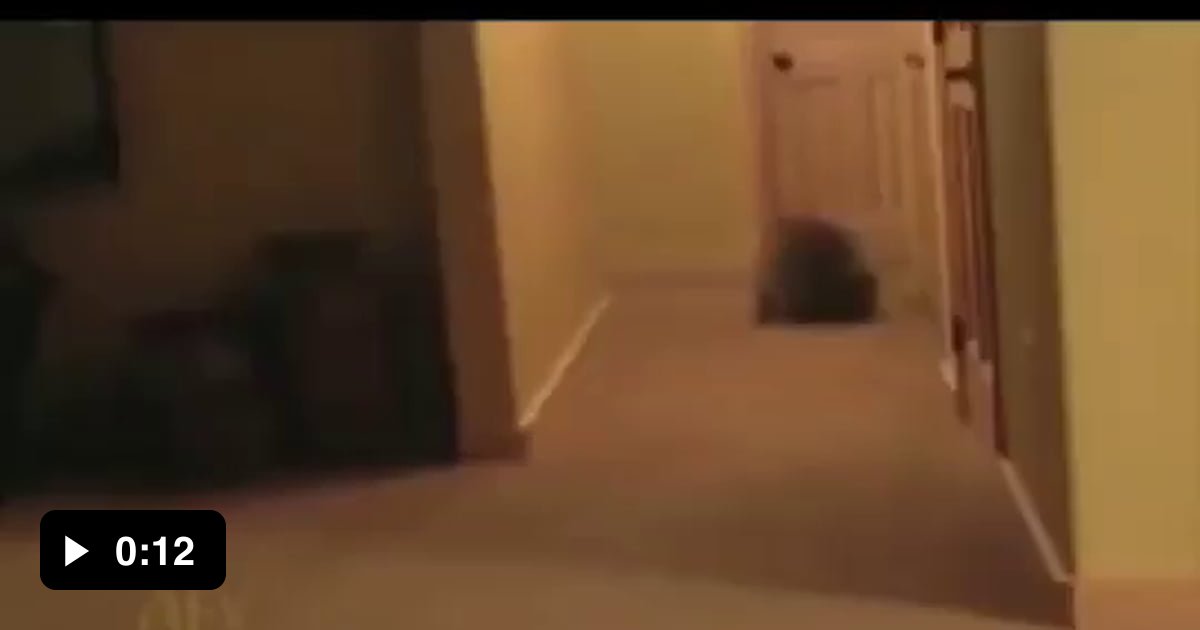 They see me rollin' - 9GAG