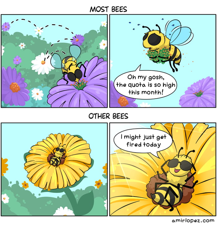Type Bee - 9GAG