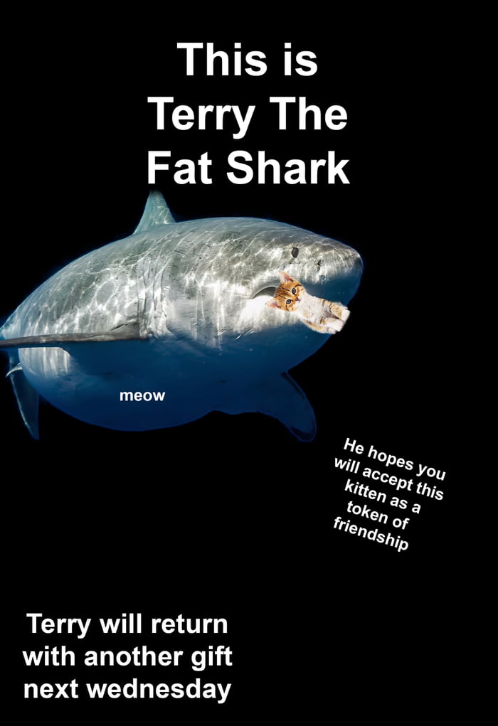 Terry the Fat Shark - 9GAG