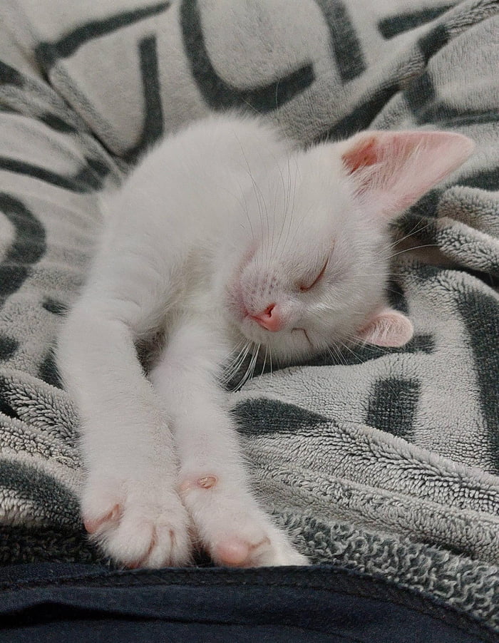 Very sleepy - 9GAG