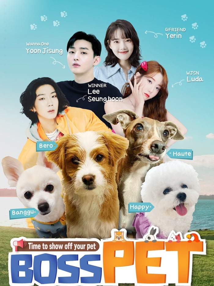 Yerin - KBS Boss Pet Poster - 9GAG