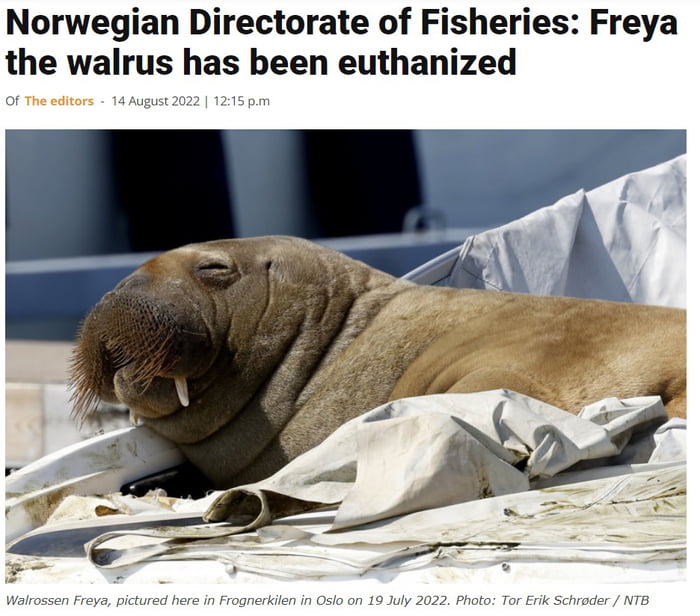 RIP Freya the Walrus - 9GAG