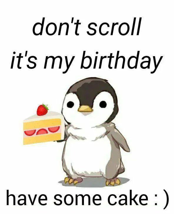Hey 9gag