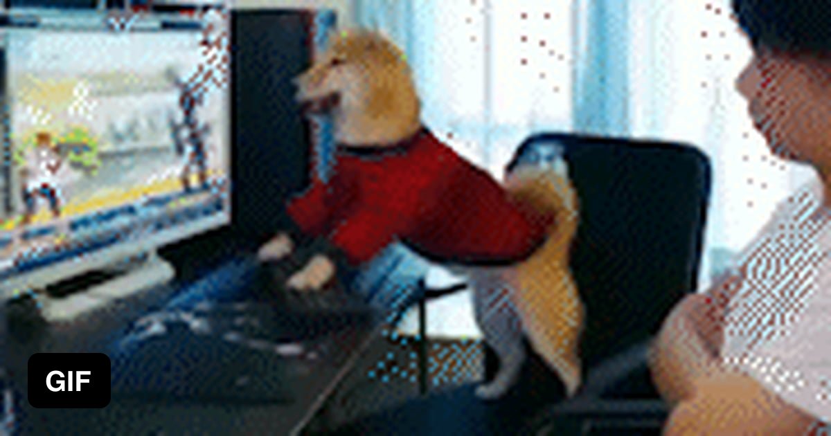 Gamer Doggo - 9GAG