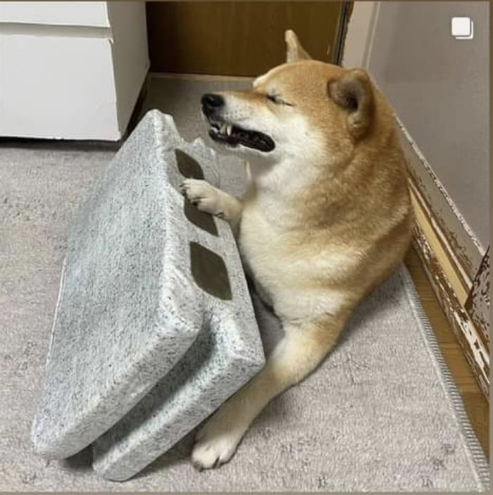 Help a bro out with a title - 9GAG