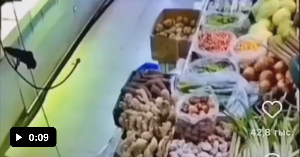 Food get back in there with the rest of them - 9GAG