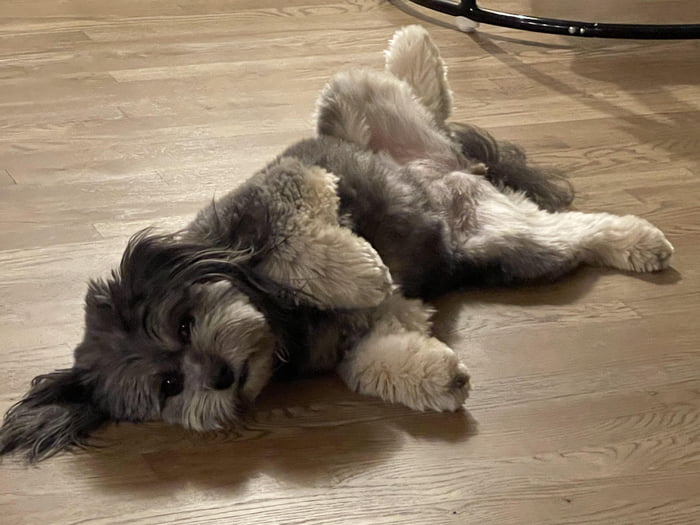 She Stayed Like This For 5 Minutes 9gag