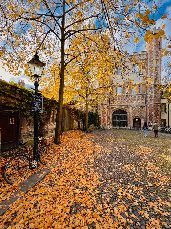 Golden autumn in Cambridge, UK - 9GAG