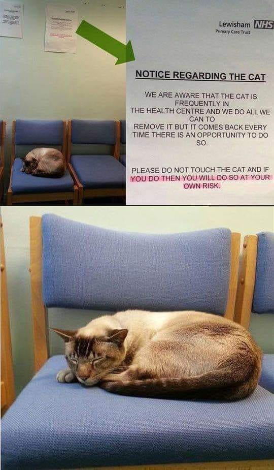 Health Centre CAT- The inescapable, the unpredictable - 9GAG