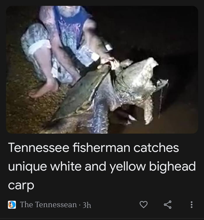A very odd looking carp - 9GAG