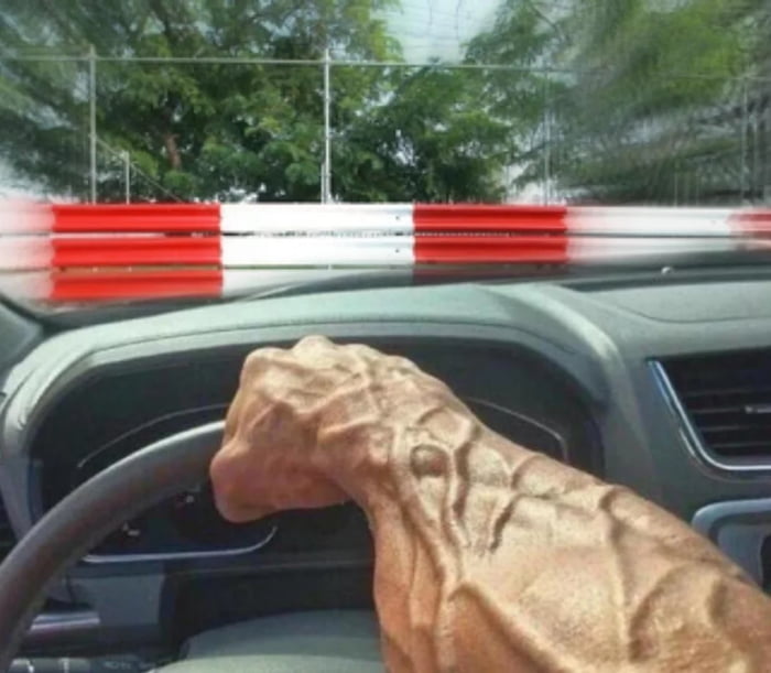 POV you are a Canadian F1 driver - 9GAG