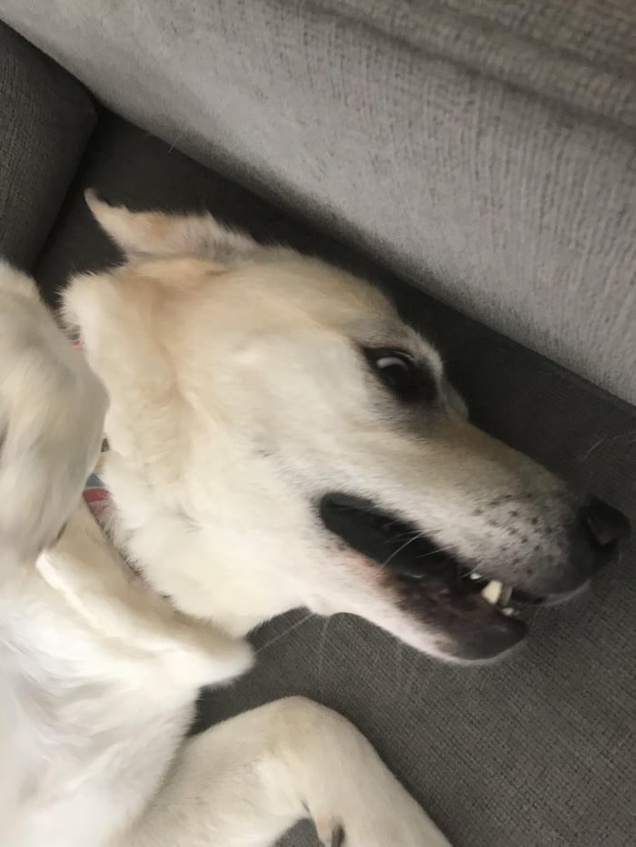 She just turned 11 - 9GAG