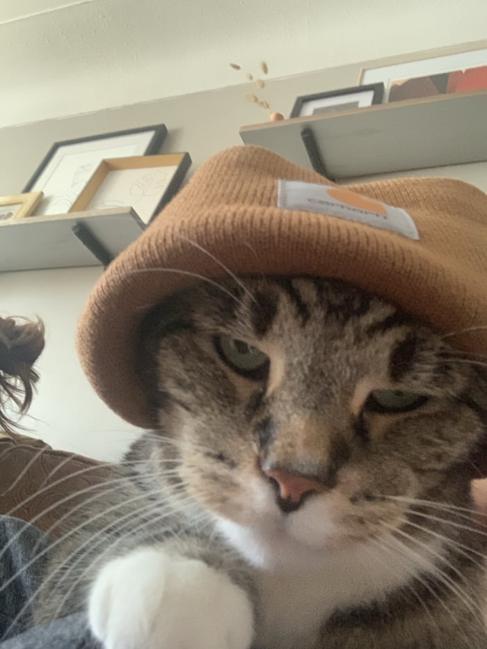 Work sucks. I know. She left me roses by the stairs surprises let me ...