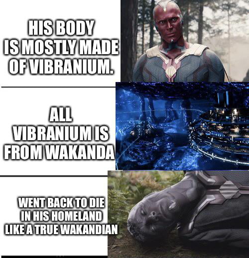 Vision is Wakandian - 9GAG