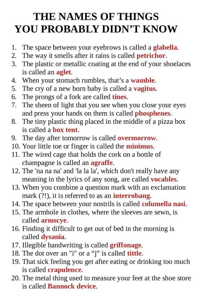 When Pope Francis visited Japan, he was gifted a custom anime robe ...