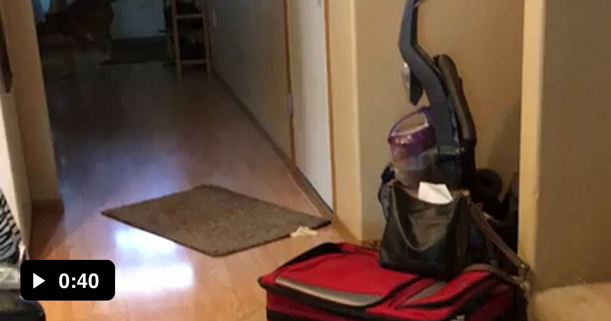 Dad Is Coming Home Now 9gag 4752