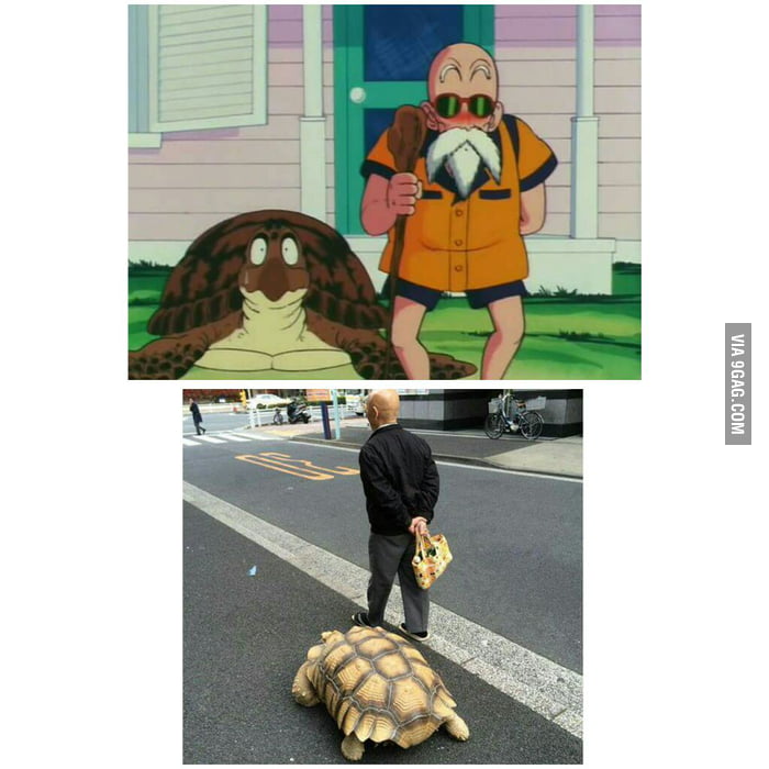Master Roshi in real life ≫∆≪ - 9GAG