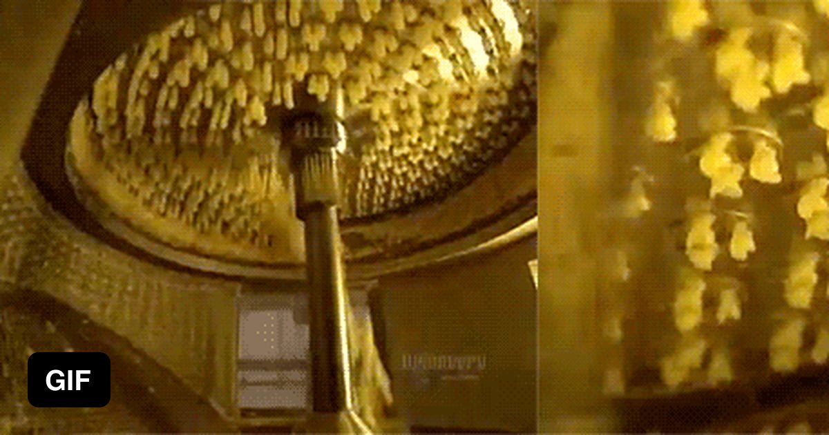 Here's a satisfying spaghetti maker - 9GAG