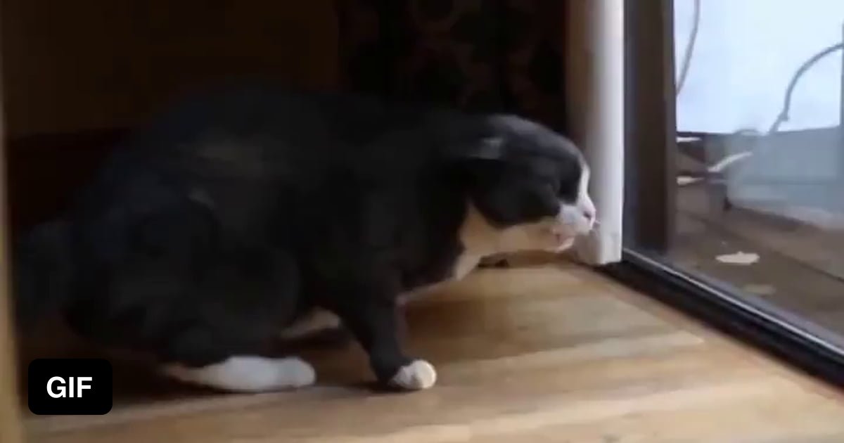 When unwanted relatives drop by unannounced... - 9GAG