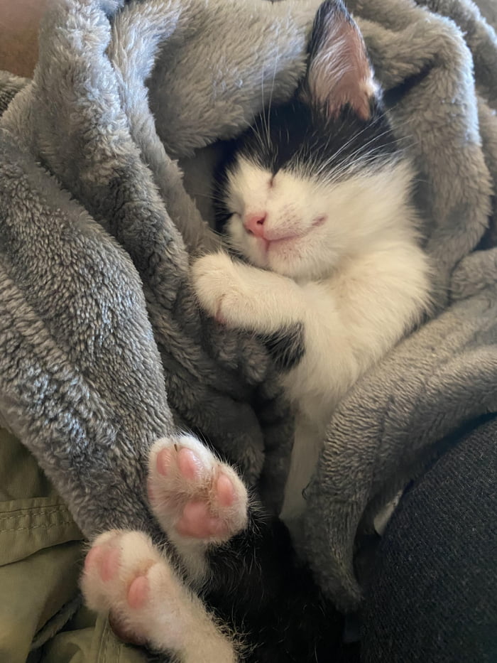 Bubblegum Toe Beans - 9GAG