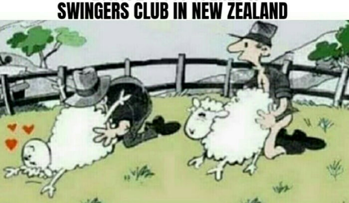 Sheep get nervous - 9GAG