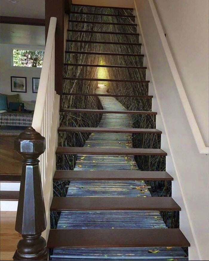 This painted staircase makes a nice secret path illusion - 9GAG