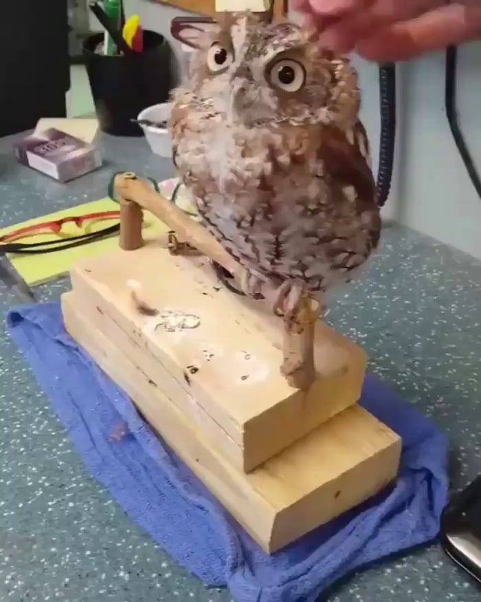 Just the right spot... - 9GAG