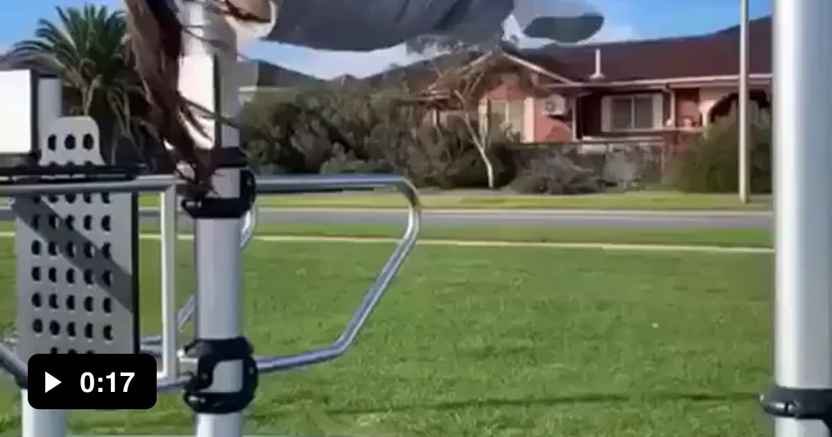 Stuck the landing - 9GAG