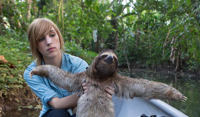 Sloth recreating the Titanic scene - 9GAG