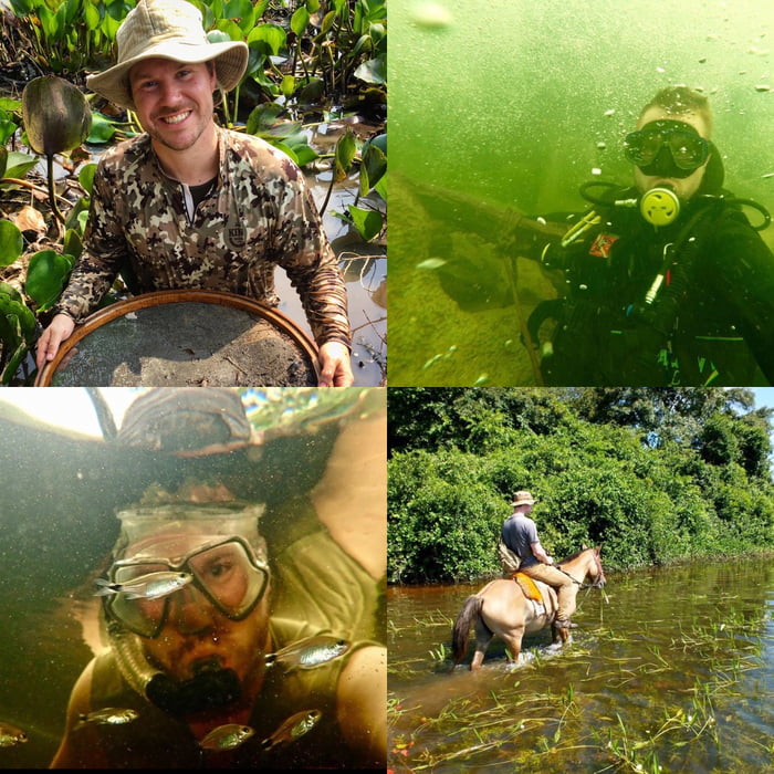 Posting our jobs...I’m an ichthyologist (biologist who specialises in ...