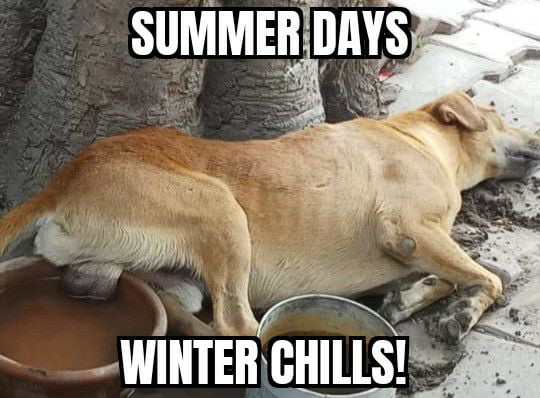 Magnificent things these BALLS! - 9GAG