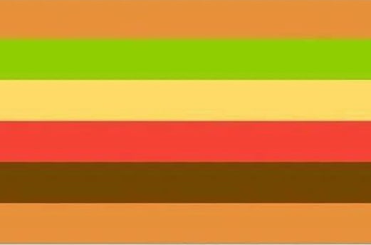 Fat people flag - 9GAG