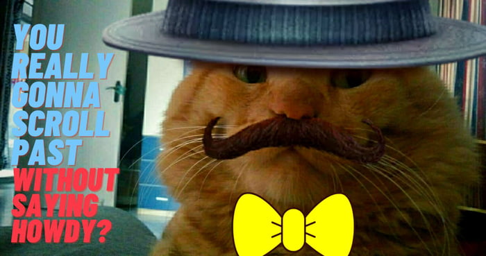 You really gonna scroll past without saying howdy? - 9GAG