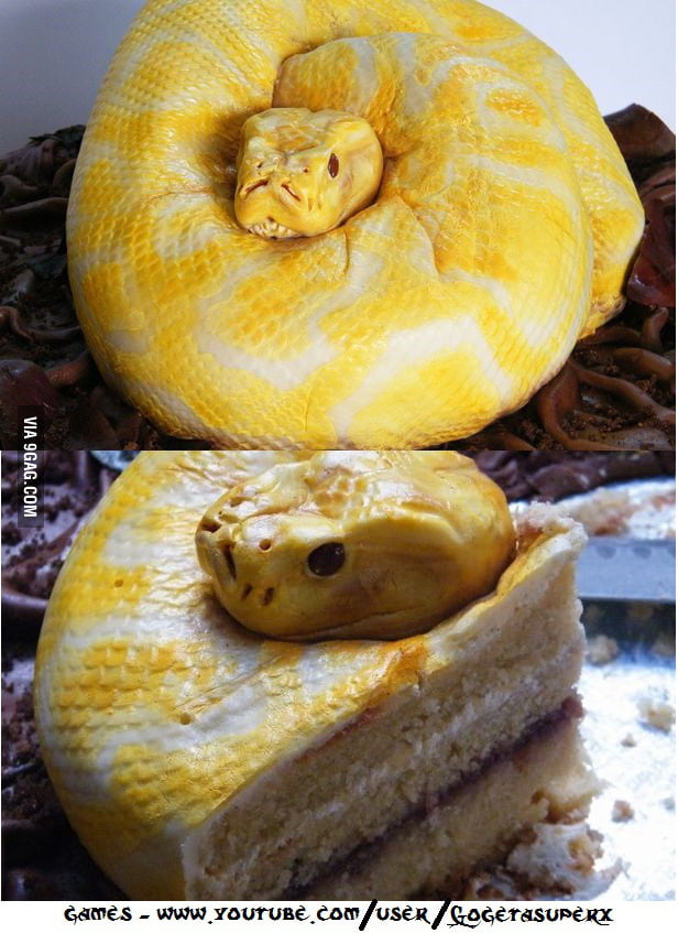 Yellow Snake - Cake - 9GAG