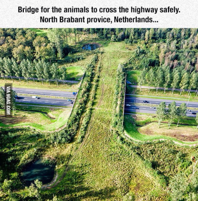 We need more of these! - 9GAG