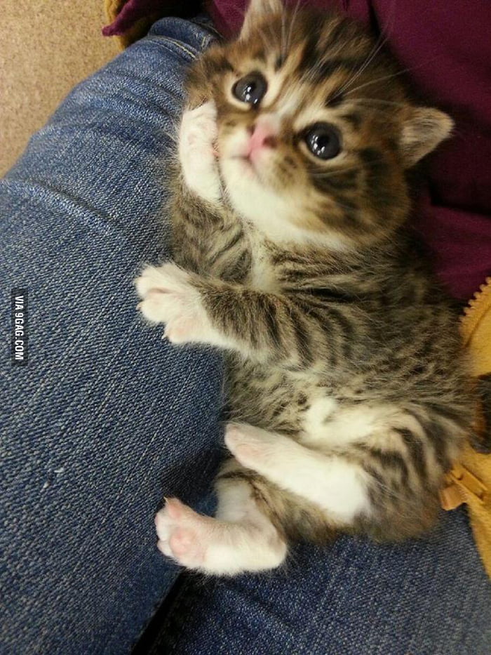 Hey... Whatcha thinking about? - 9GAG