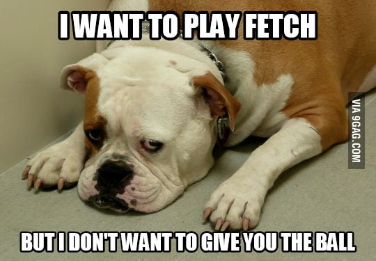 First World Dog Problems - 9GAG