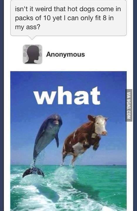 I'm sorry?! - 9GAG