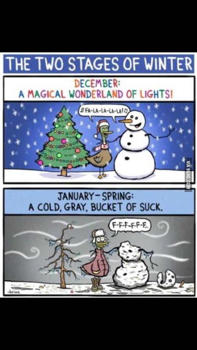 Only 63 days until spring :( - 9GAG