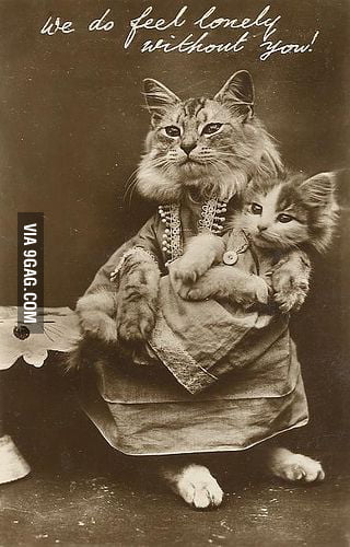 The original lolcat circa 1905 - 9GAG