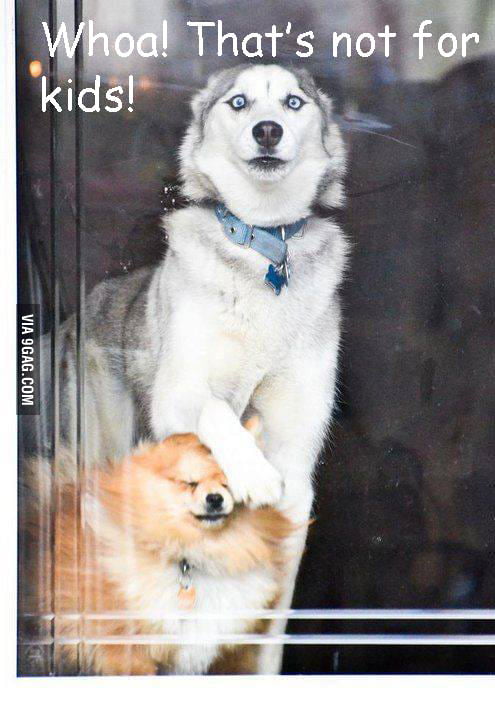 Not for kids... - 9GAG