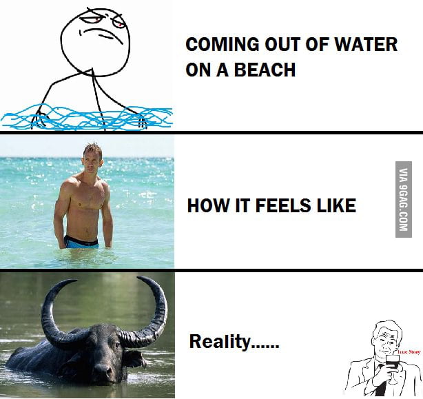 Meanwhile on a beach.....! - 9GAG